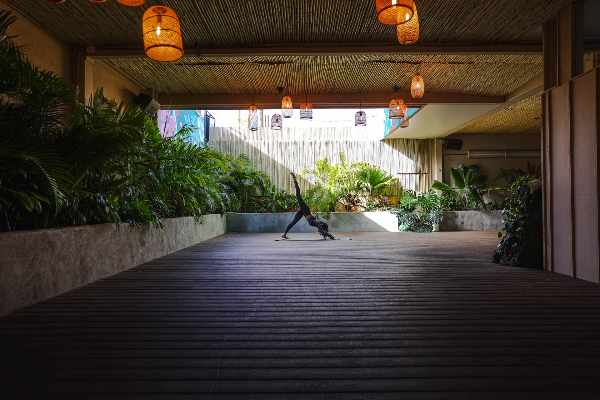 Contact Yoga Under the Palms - Yoga Under the Palms Hawaiʻi